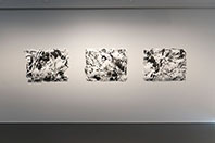 Heike Weber Installations