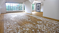 Heike Weber Installations