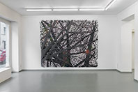 Heike Weber Installations