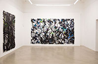 Heike Weber Installations